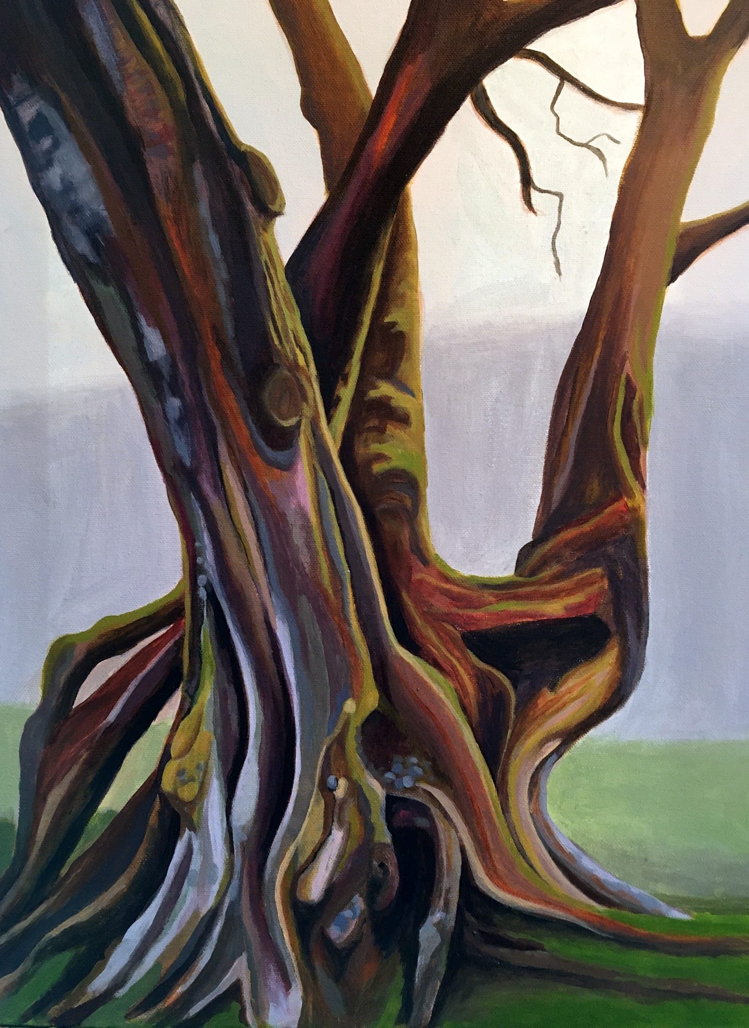 Trees - Gill Baker - Artwork